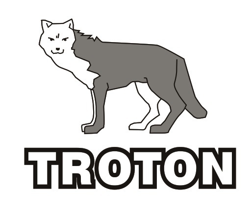 Troton paint remover spray 400ml - Automaalit.net
